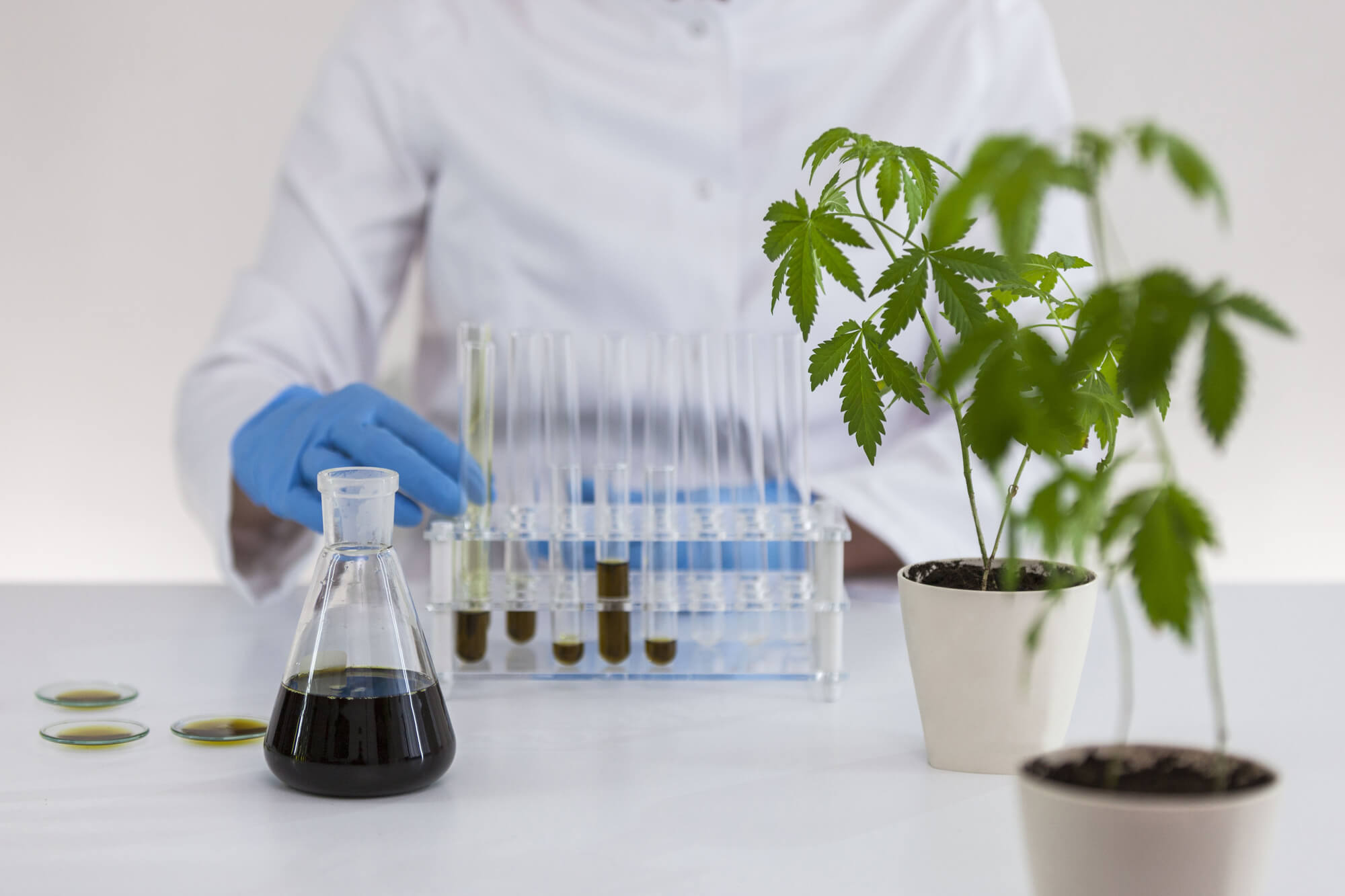 About Us – nevermirin.com